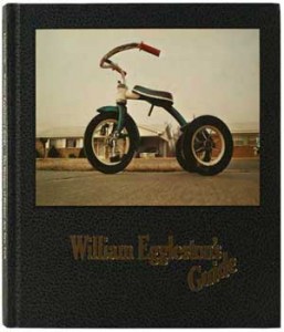 Daile Kaplan of Swann Auction Galleries on Collecting 20th Century ...