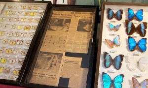 How a Colorado Family Built a Home for the World’s Weirdest, Most ...